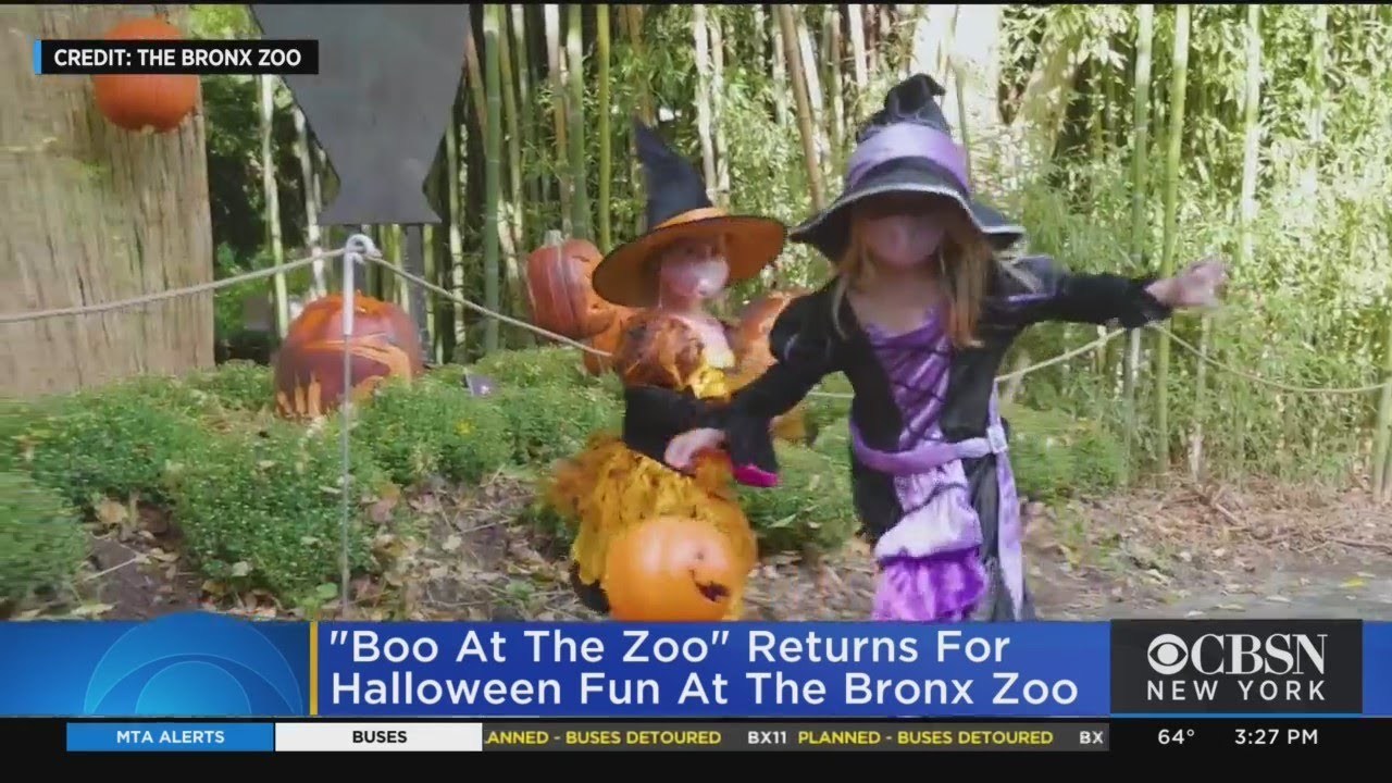[VIDEO] "Boo At The Zoo" Returns To Bronx Zoo | Viewing NYC