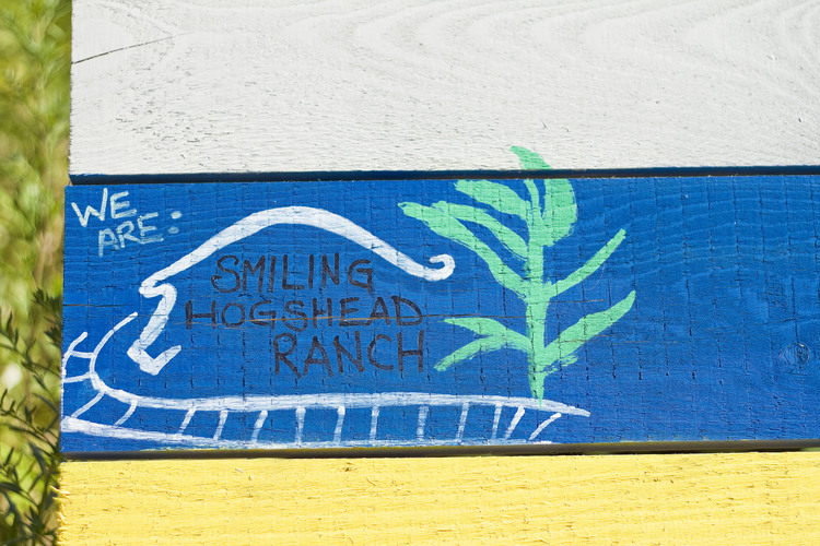 Smiling Hogshead Ranch, a Guerilla Garden on an Abandoned Railroad ...