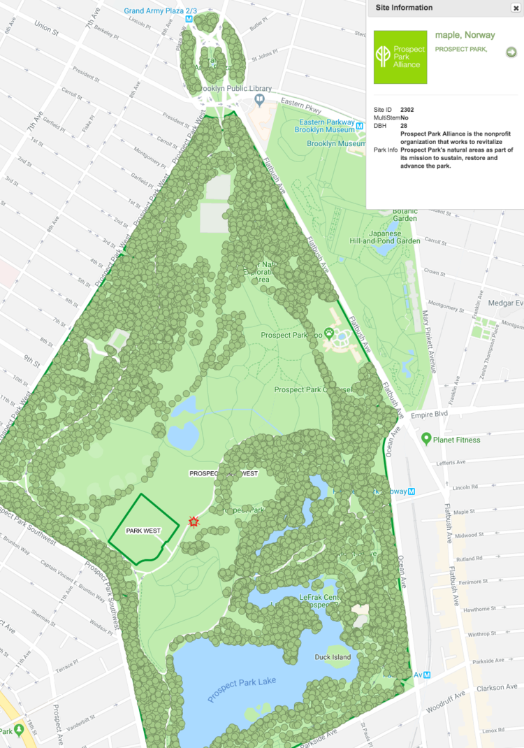 This Interactive Map Details Over 12,000 of Prospect Park's 200 ...