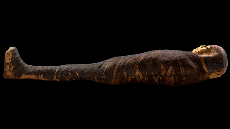 Check Out the New "Mummies!" Exhibition at the American Museum of ...