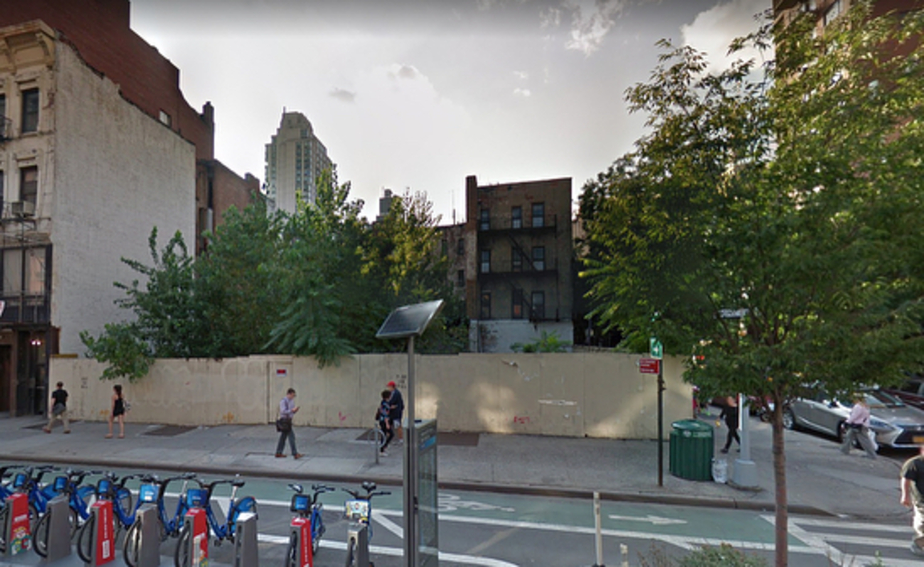 This Abandoned Lot in Manhattan Turned Into a Dense Forest in Only Five ...