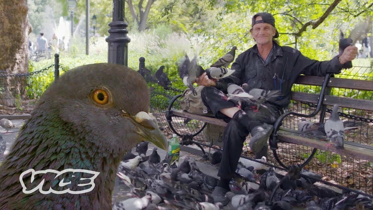 [WATCH] We Asked a NYC Pigeon Man... Why? | Viewing NYC