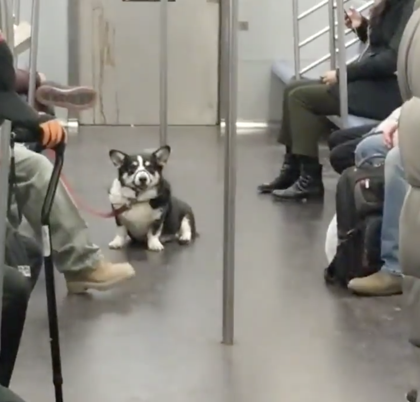 [SEE IT] Check Out This Intense Yet Super-Cute Staredown on the New ...