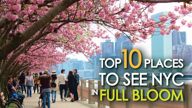 [VIDEO] Top 10 Places To See New York City in Full Spring Bloom ...