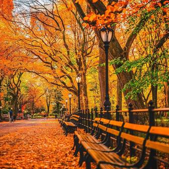 Monday, March 11th, 2019, Good Morning! | Viewing NYC