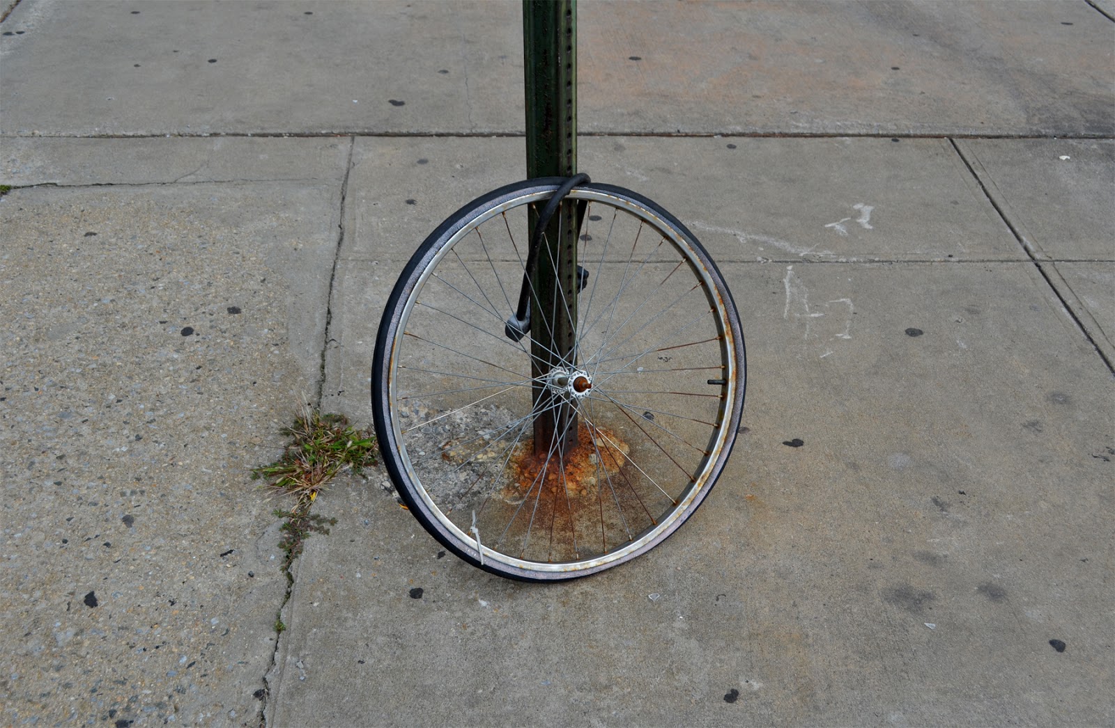 Forgotten Rides, a Photo Blog Documenting the City's Abandoned Street ...
