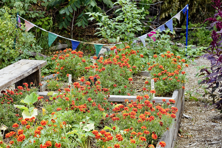 Smiling Hogshead Ranch, a Guerilla Garden on an Abandoned Railroad ...