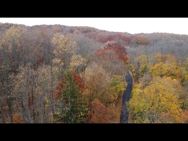 [WATCH] Above the Trees: Staten Island's Peak Fall Foliage | Viewing NYC