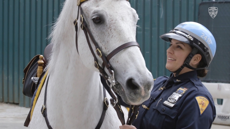 [VIDEO] Meet Zeus, The New York Police Department's Newest Equine ...