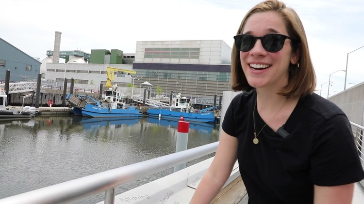 [VIDEO] Newtown Creek Nature Walk with Artist George Trakas | Viewing NYC