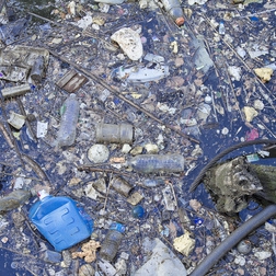 [WATCH] NYC’s Hudson River: Clean Enough To Swim In? | Viewing NYC