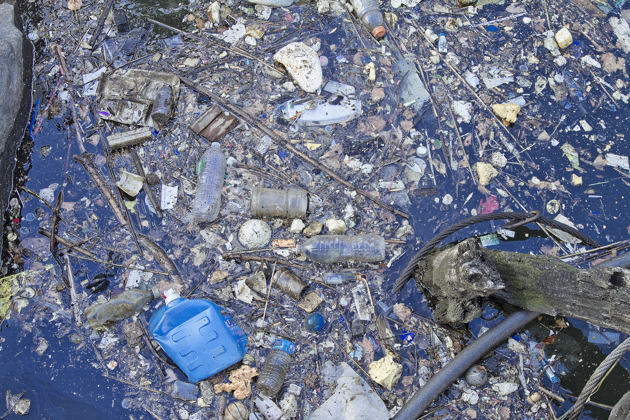 [WATCH] NYC’s Hudson River: Clean Enough To Swim In? | Viewing NYC