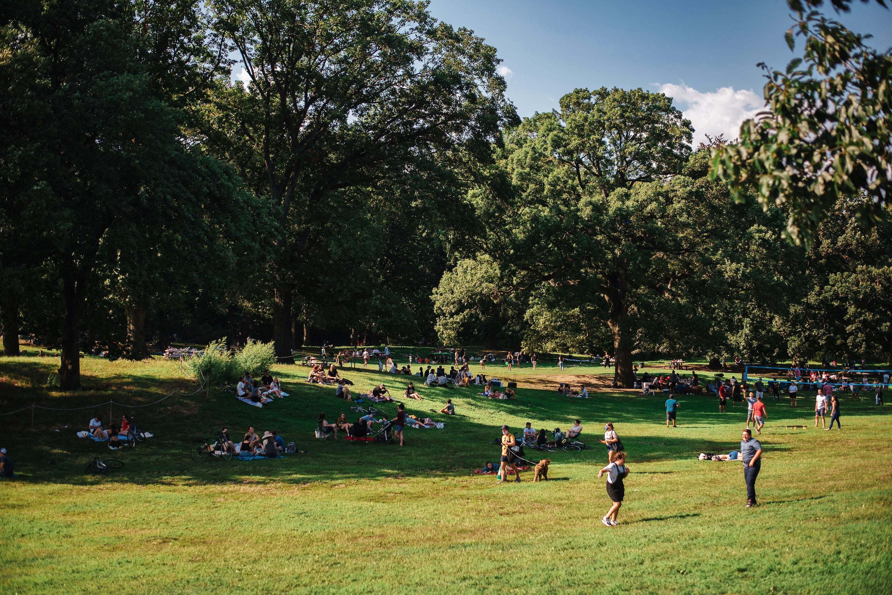 [VIDEO] A Look Back at Prospect Park in 2020 | Viewing NYC