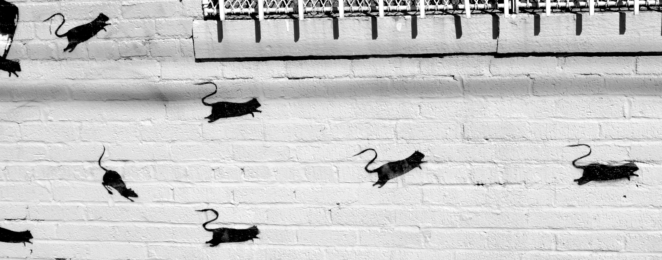 Brooklyn is the Borough of Rats; Tribeca, Then and Now; Nominate Your ...