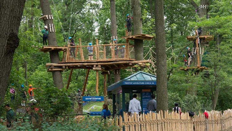 [WATCH] Explore the Interactive Zipline and Treetop Adventure Exhibit ...