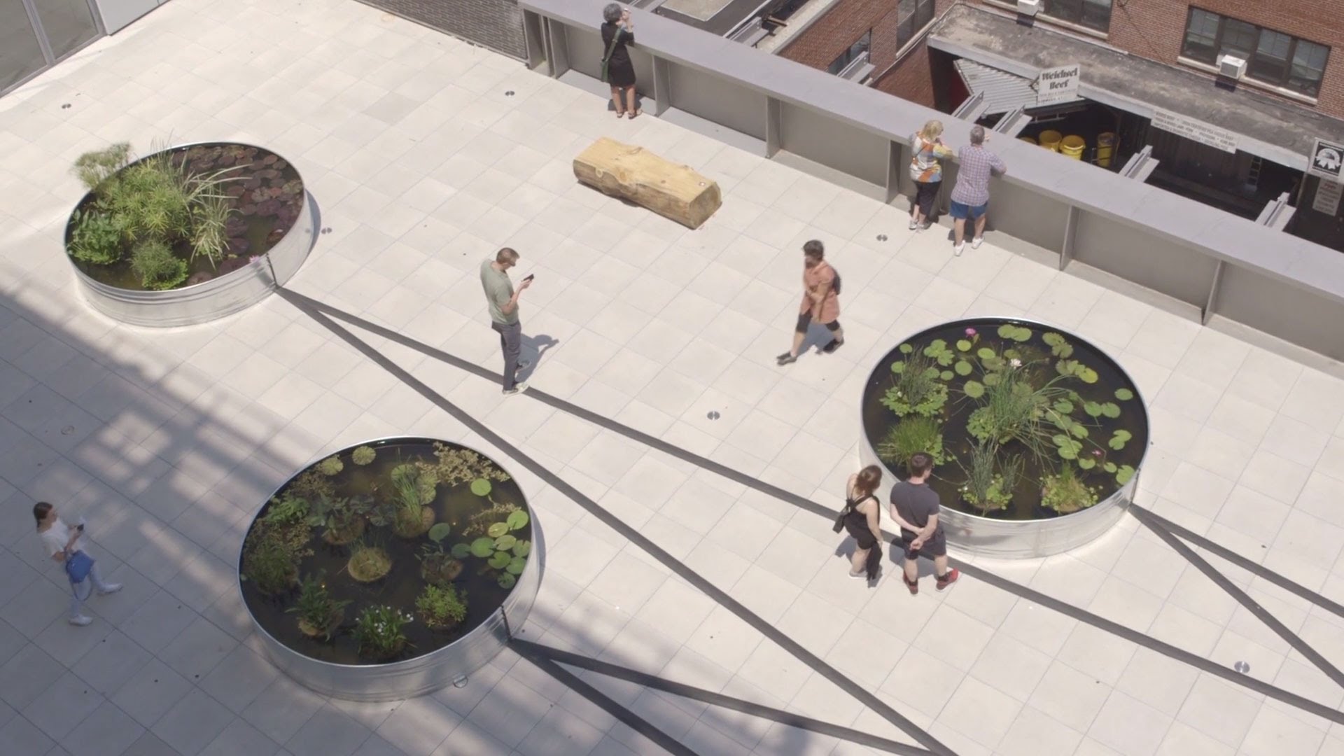 Behind Virginia Overton's New Sculpture Garden Installation at the ...