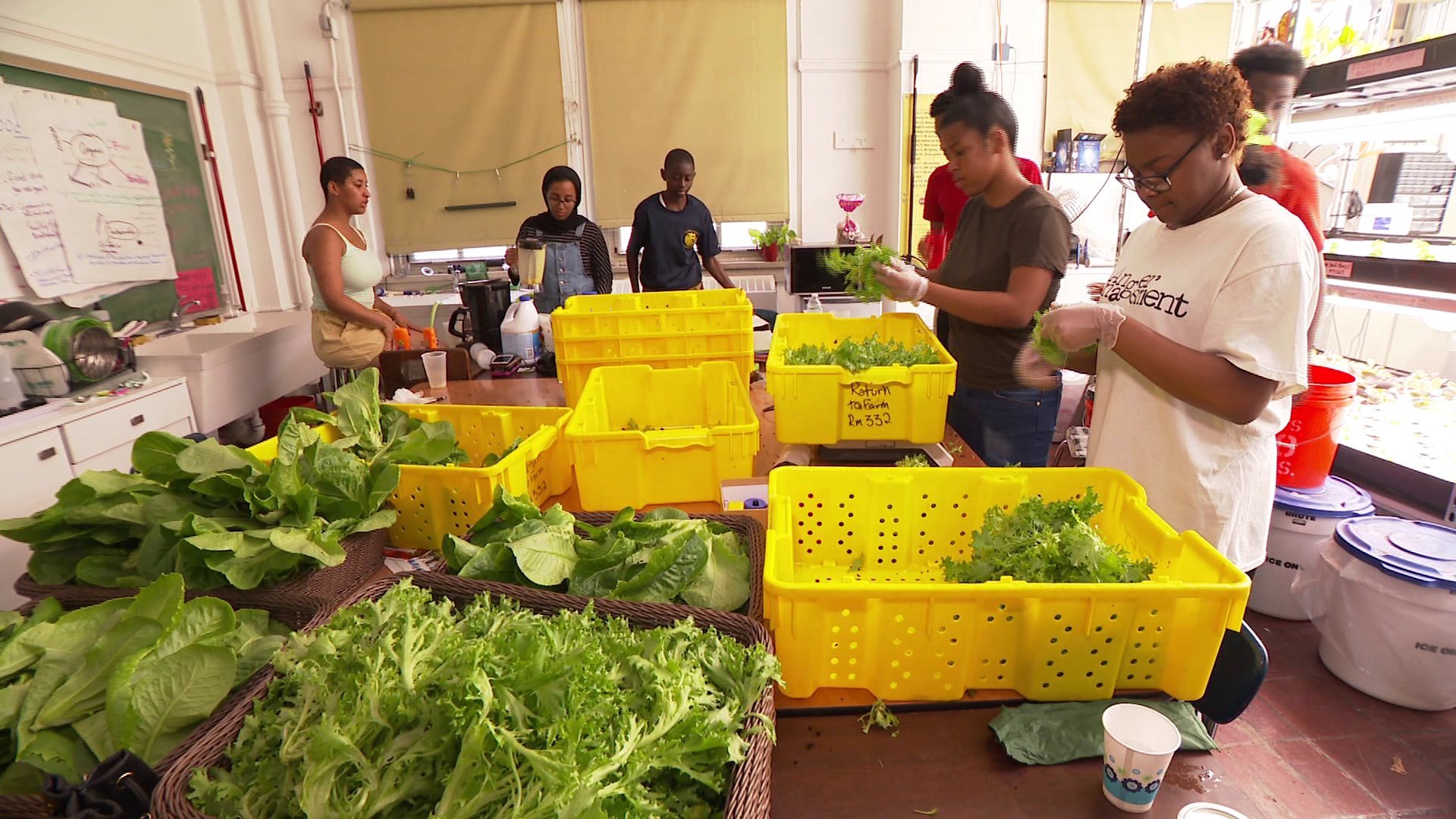 [WATCH] The Bronx's DeWitt Clinton High School Students Grow 25,000 ...