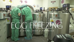 The New Yorker Explores Egg Freezing at N.Y.U.'s Fertility Lab ...