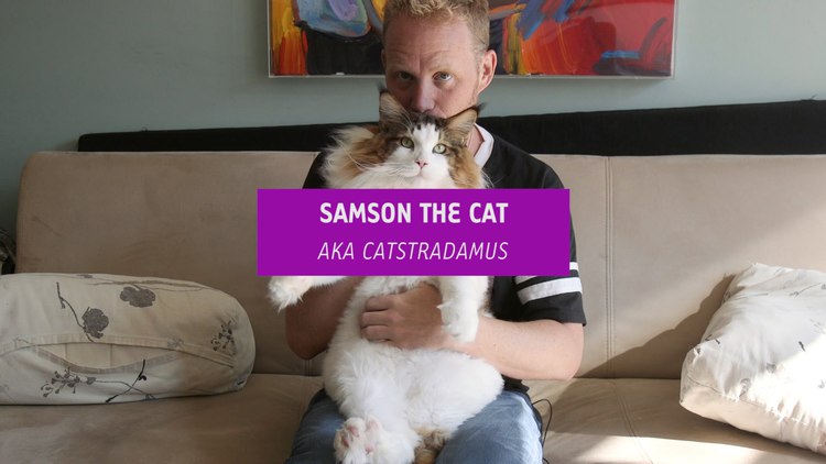 WATCH: People Can't Get Enough of Samson, New York City's Largest Cat ...