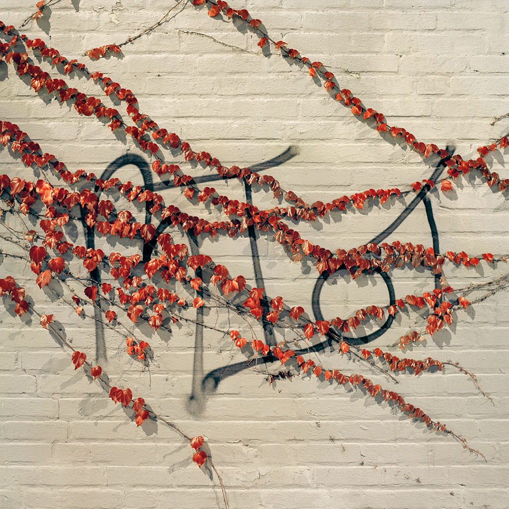 Striking Photographs of Life in the Gowanus | Viewing NYC