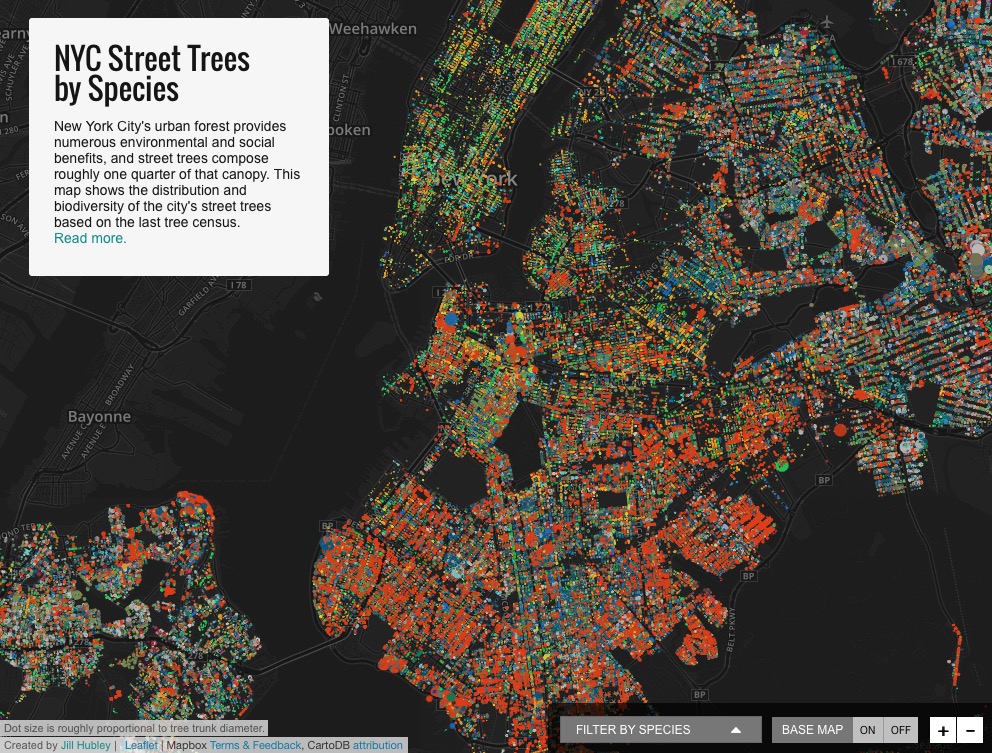 NYC Trees, Interactive Map of All NYC Tree Species Updated With New ...