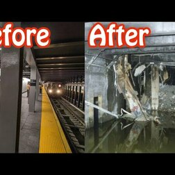 Interactive Map Showing Territories of All Known Gangs in New York City ...