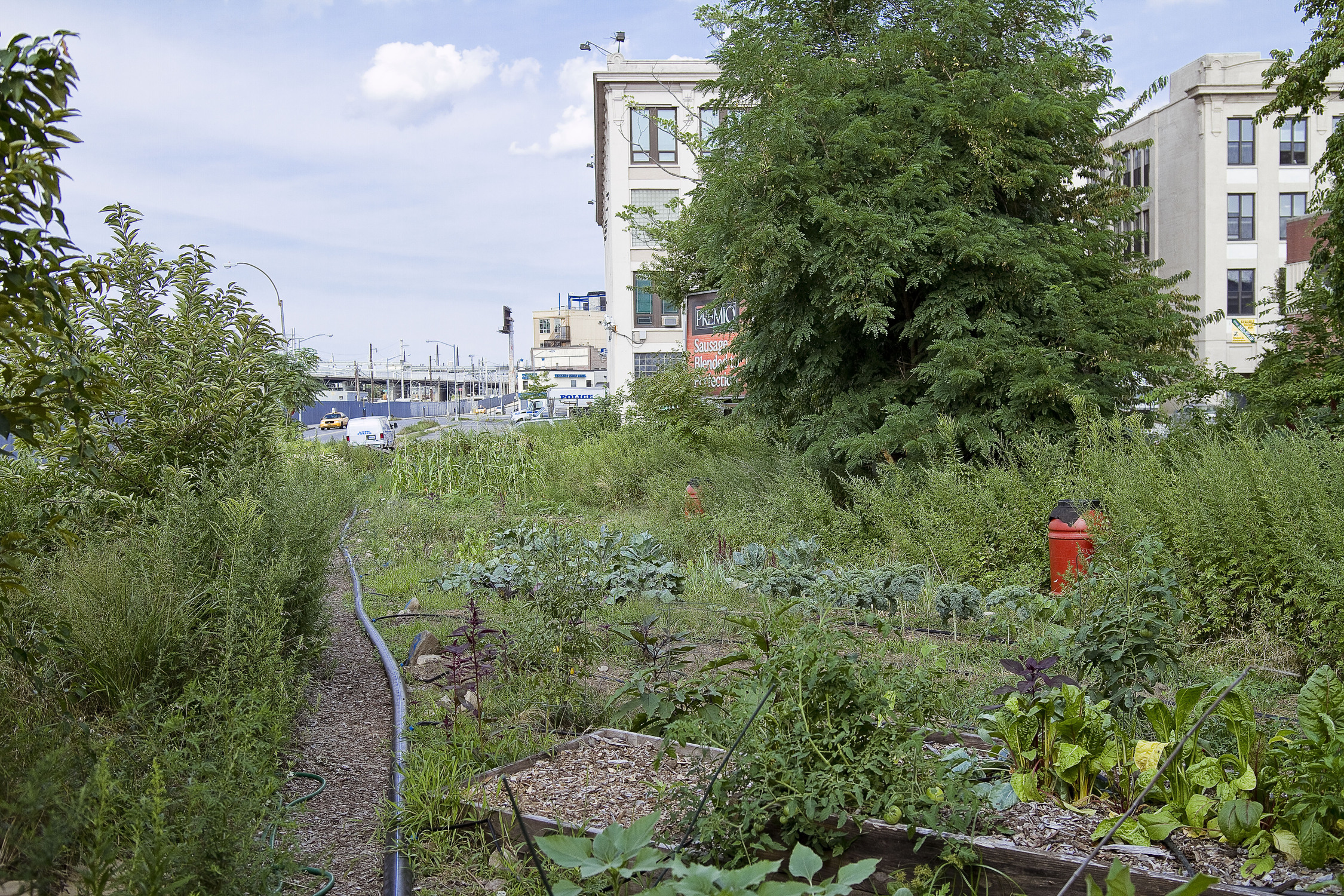 Smiling Hogshead Ranch, a Guerilla Garden on an Abandoned Railroad ...