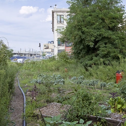 Smiling Hogshead Ranch, a Guerilla Garden on an Abandoned Railroad ...