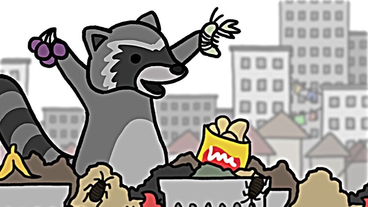 [VIDEO] Minute Earth Explains Why Some Animal Species Thrive in New ...