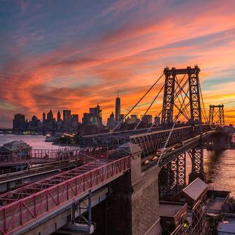 NYC Trees, Interactive Map of All NYC Tree Species Updated With New ...