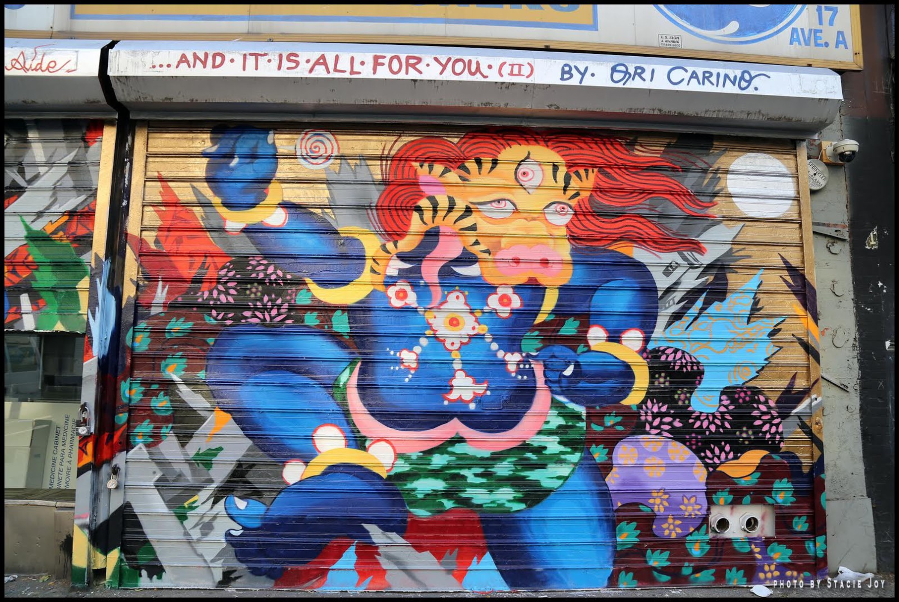 Two New Roll-Down Gate Murals Appear in the LES from Ori Carino ...
