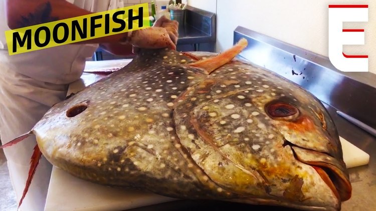[WATCH] See the Experts at Greenpoint Fish & Lobster Co. Break Down a ...