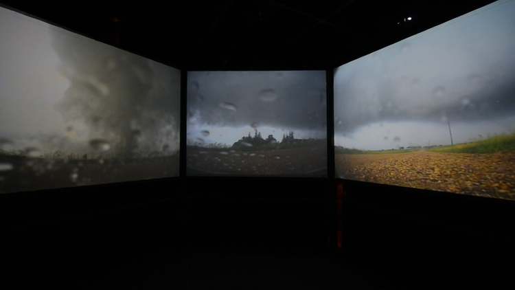 Interactive American Natural History Museum Exhibit Places You in the ...