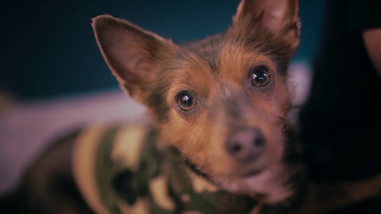 [VIDEO] Keys to the Community, a New Organization That Highlights Local ...