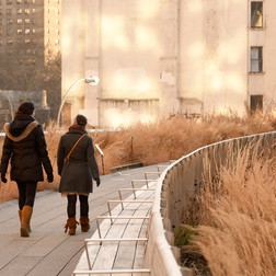 Fantastic Photographs of The High Line in the Dead of Winter | Viewing NYC