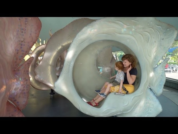 Have You Taken a Ride on the "Underwater" SeaGlass Carousel in Battery ...