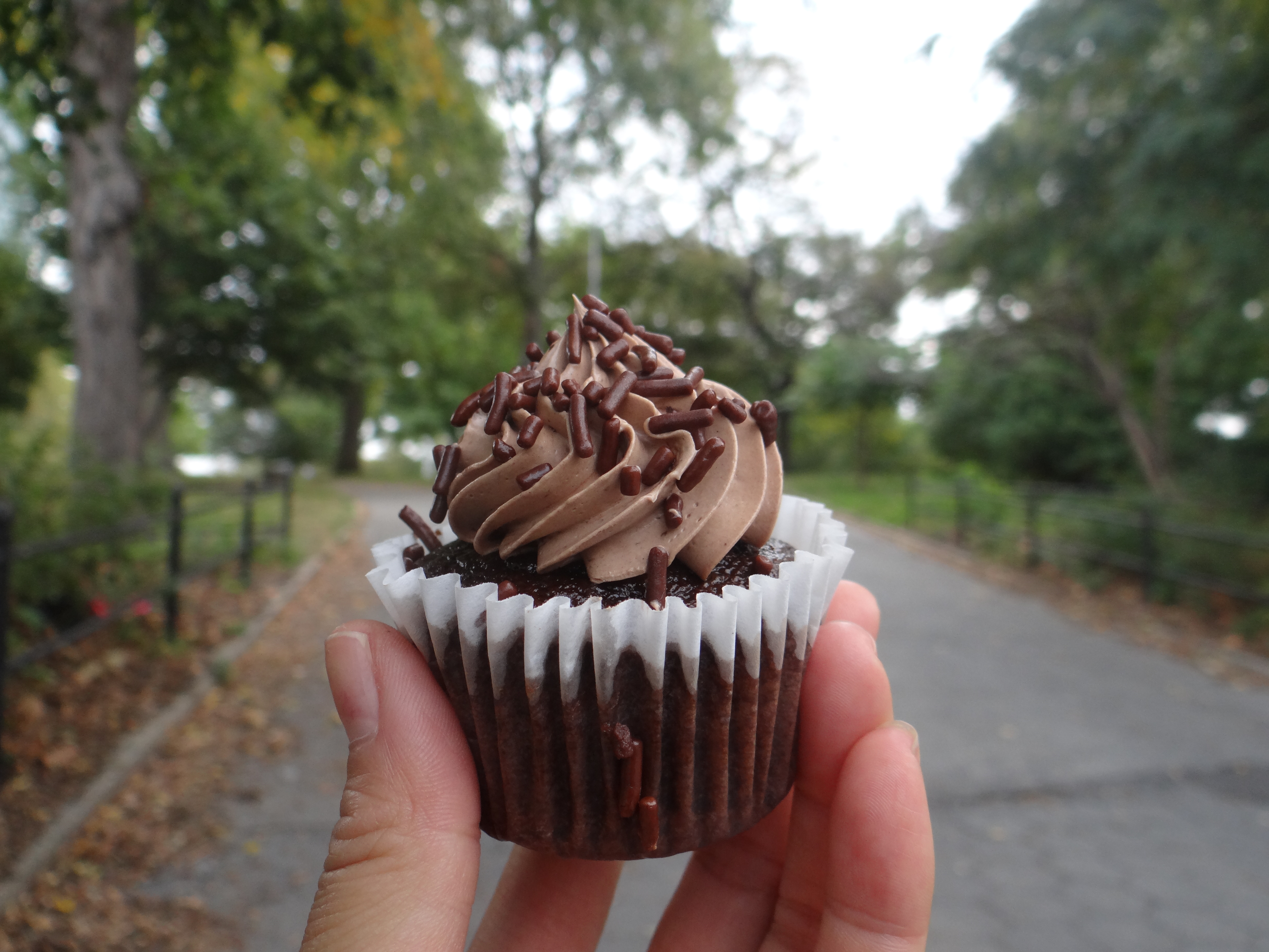 4th Annual New York City Cupcake Run Returns to Queens This October ...