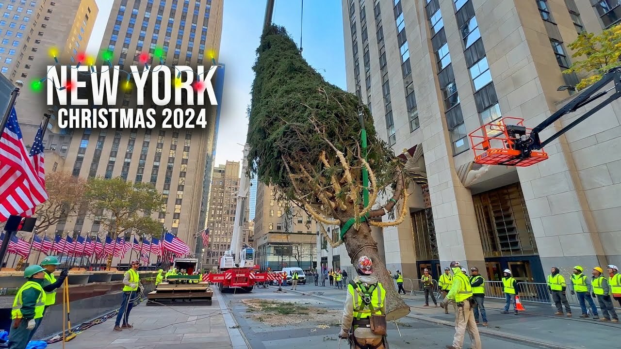 [VIDEO] Installation of the 2024 Rockefeller Center Christmas Tree ...