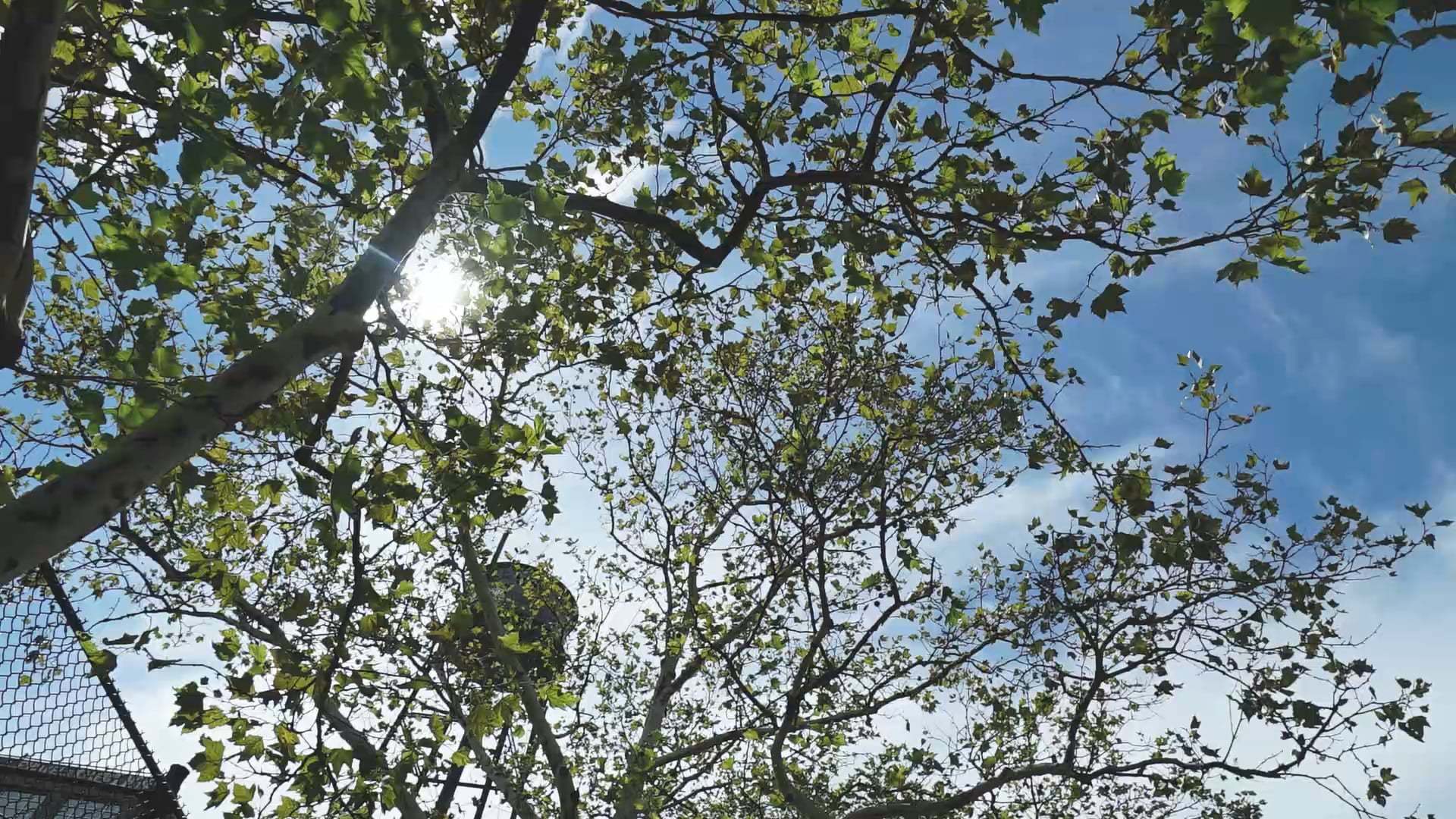 Greenpoint From Below: Unique Short Video Featuring Photos of ...