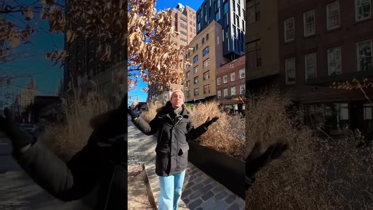 [WATCH] What are Air Rights in New York City? | Viewing NYC