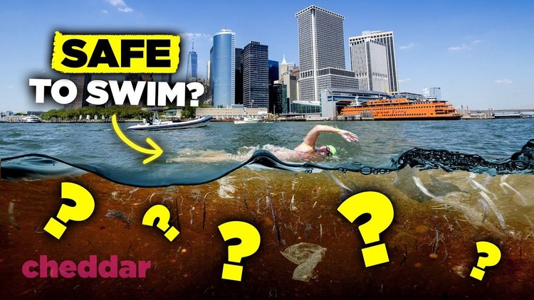 [WATCH] NYC’s Hudson River: Clean Enough To Swim In? | Viewing NYC