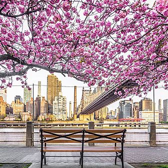 [WATCH] Meet the 'Electrobat', 1895's Electric New York City Taxi ...
